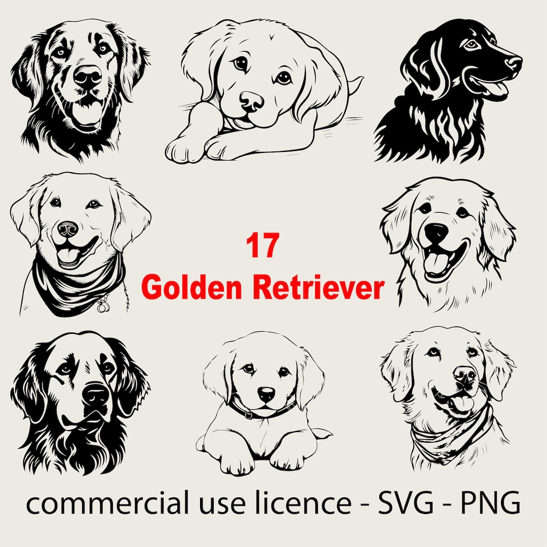 Golden Retriever Svg Bundle, Cute Golden Retriever Png, Golden ...