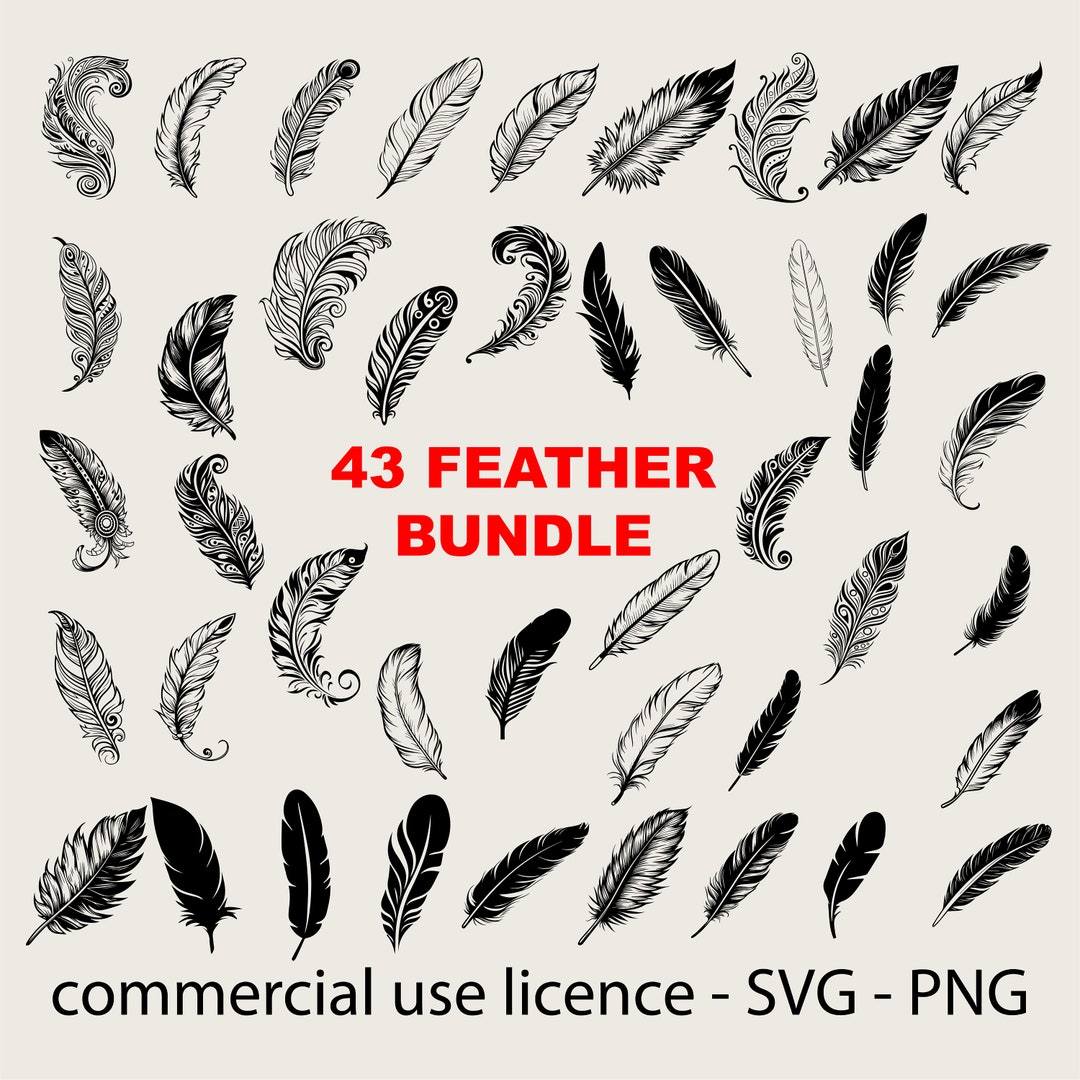 43 Design Feather Svg Bundle, Feathers Svg Bundle, Bird Feathers Png ...