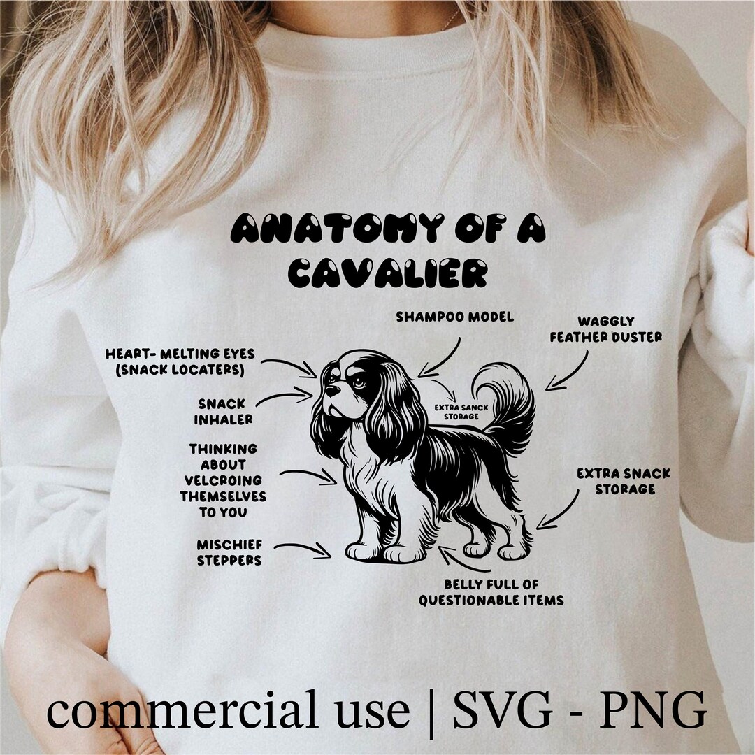 Anatomy of Cavalier Svg, Cute Cavalier Png, Unique Cavalier Clipart ...