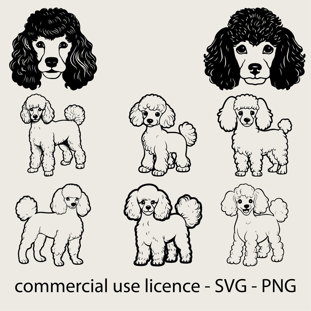 Poodle Svg Bundle, Cute Poodle Face Png, Puppy Poodle Silhouette Svg ...