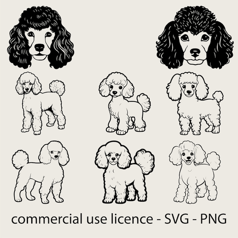Poodle Svg - Etsy