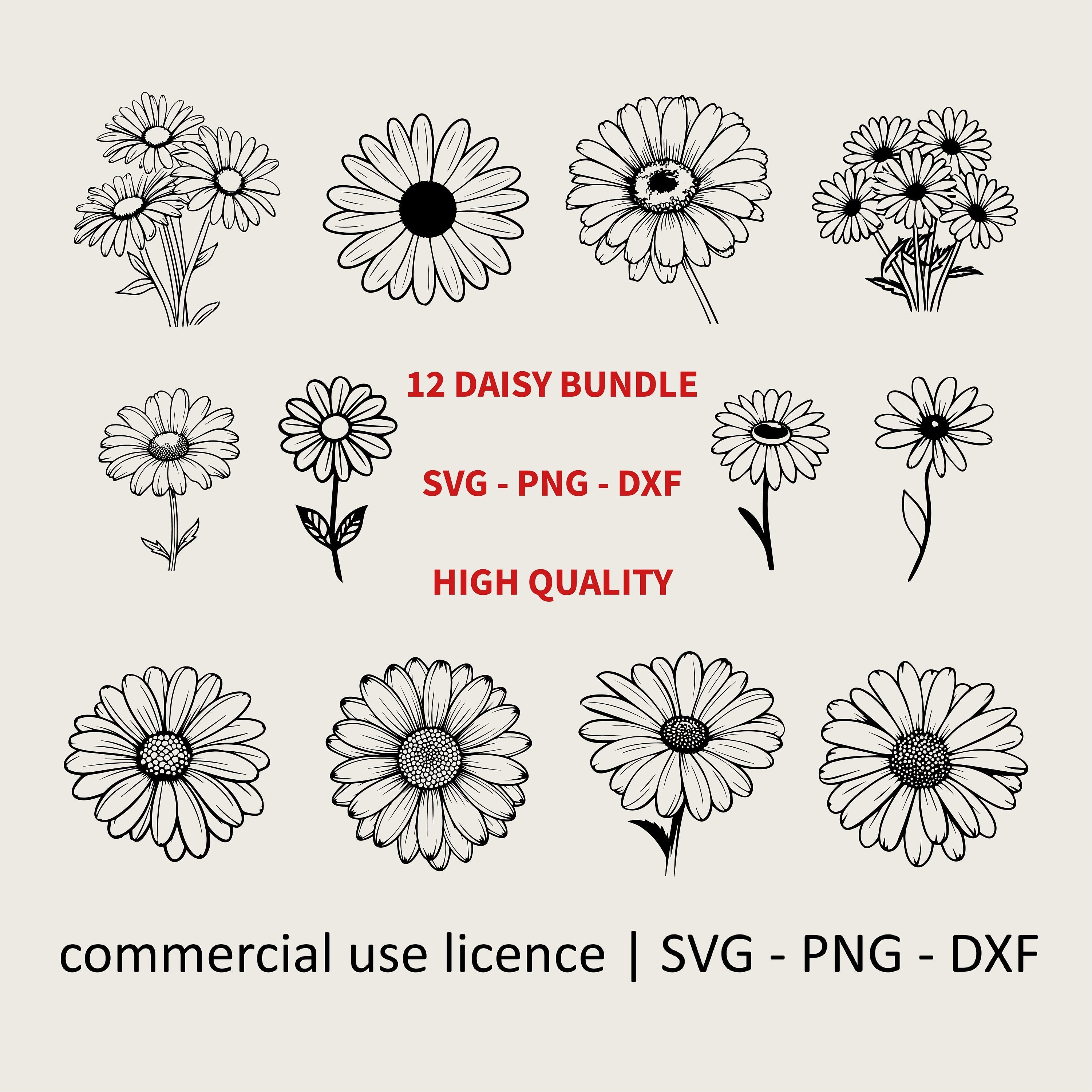 12 Pieces in Bundle Daisy Flower Svg Png Dxf Daisies Svg - Etsy