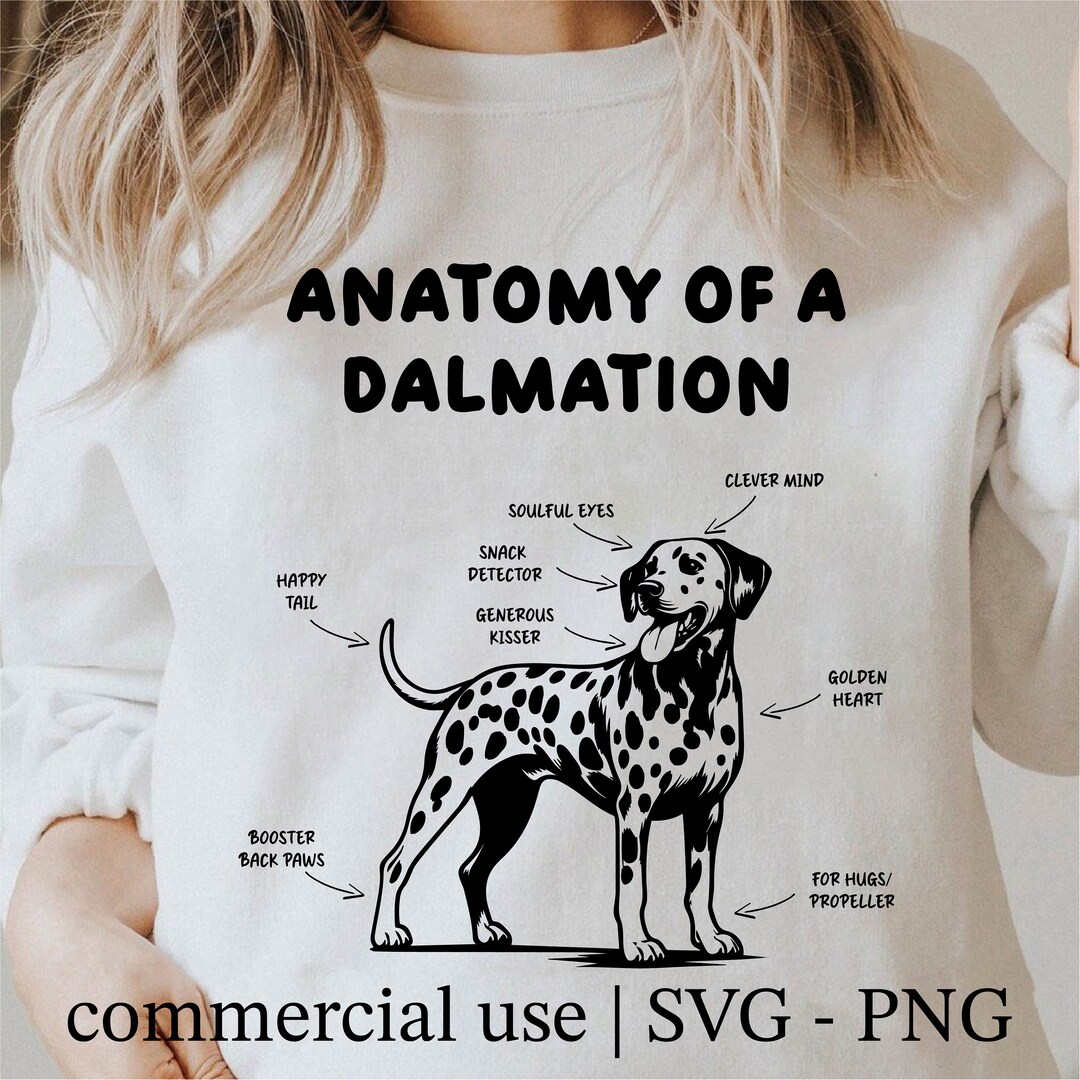 Funny Dalmation Svg, Anatomy of A Dalmation Svg, Dalmation Lover Svg ...