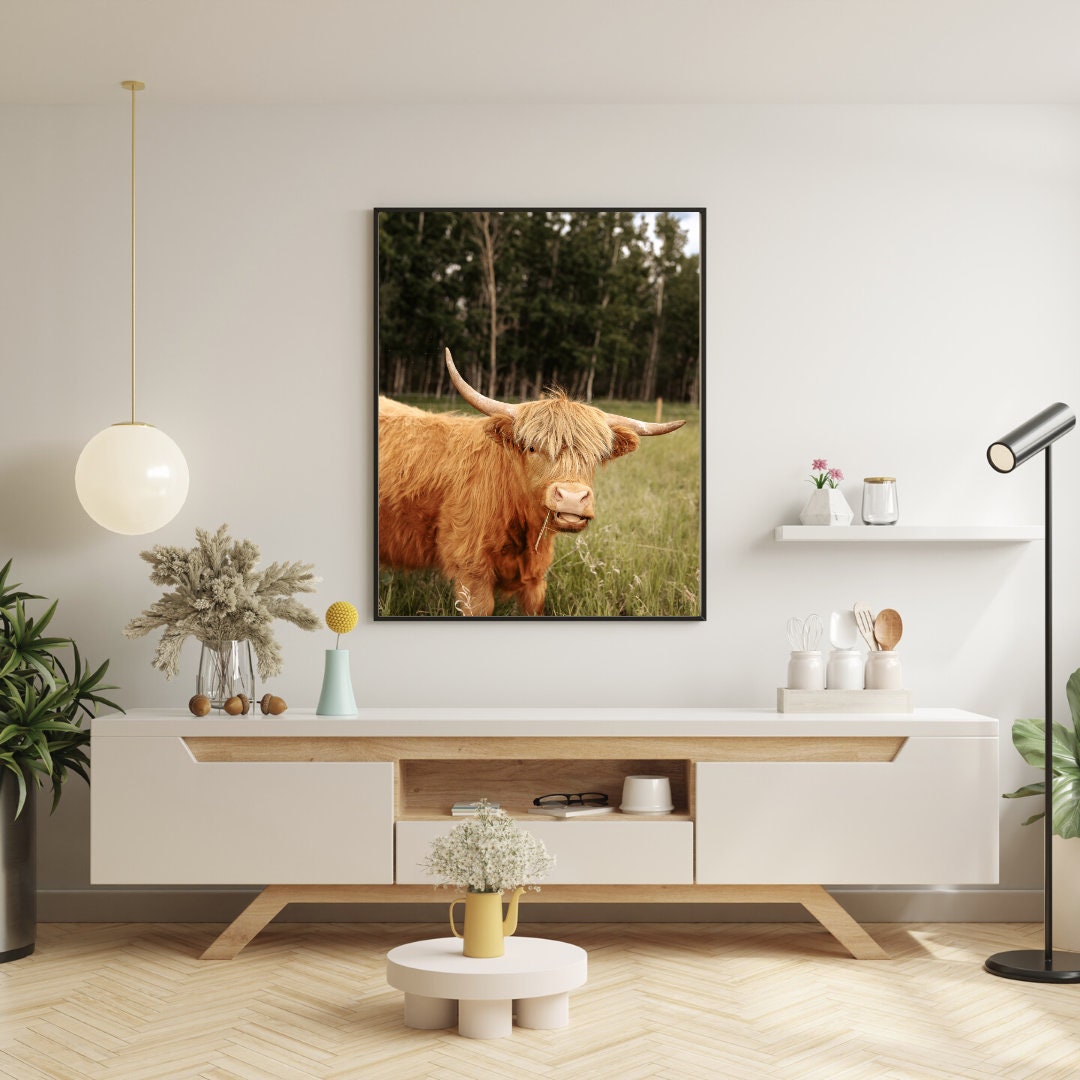 Modern Cottage Core Interior Design Alberta Highland Cow Digital Print ...