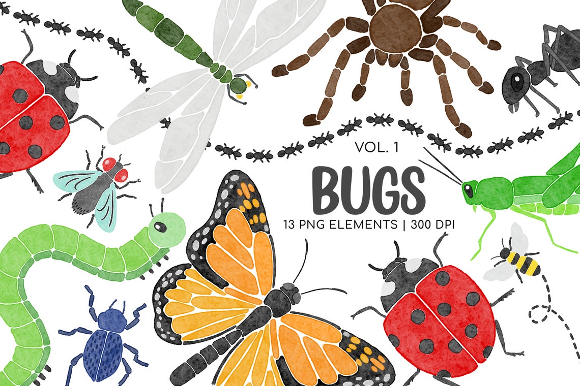 Watercolor Bug Clipart Set - Insect Graphic Illustrations - Ladybug ...