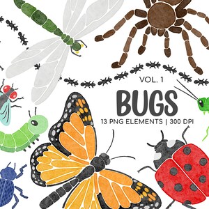 Watercolor Insect Clipart Set – Bug Illustrations, PNG Graphics ...