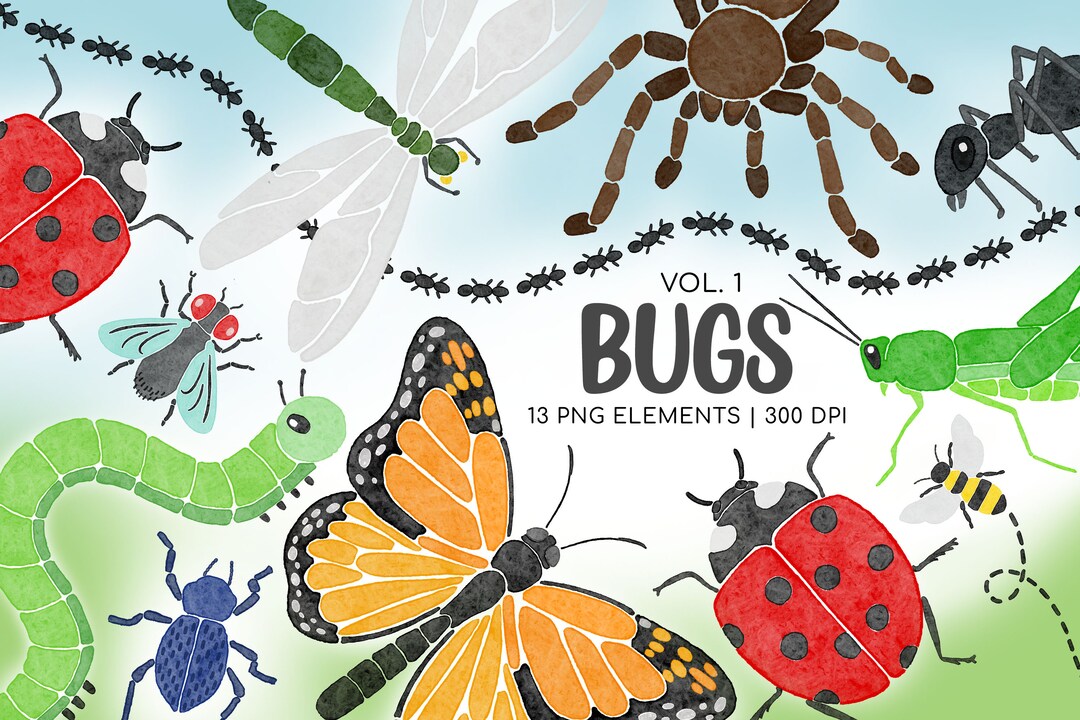 Watercolor Bug Clipart Set - Insect Graphic Illustrations - Ladybug ...