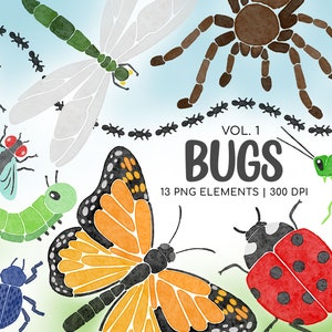 Watercolor Bug Clipart Set - Insect Graphic Illustrations - Ladybug ...