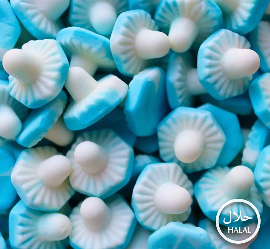 HALAL Gummies 8oz. Gummies Sweets Gummy Candy, Halal Candy, Gift Box ...