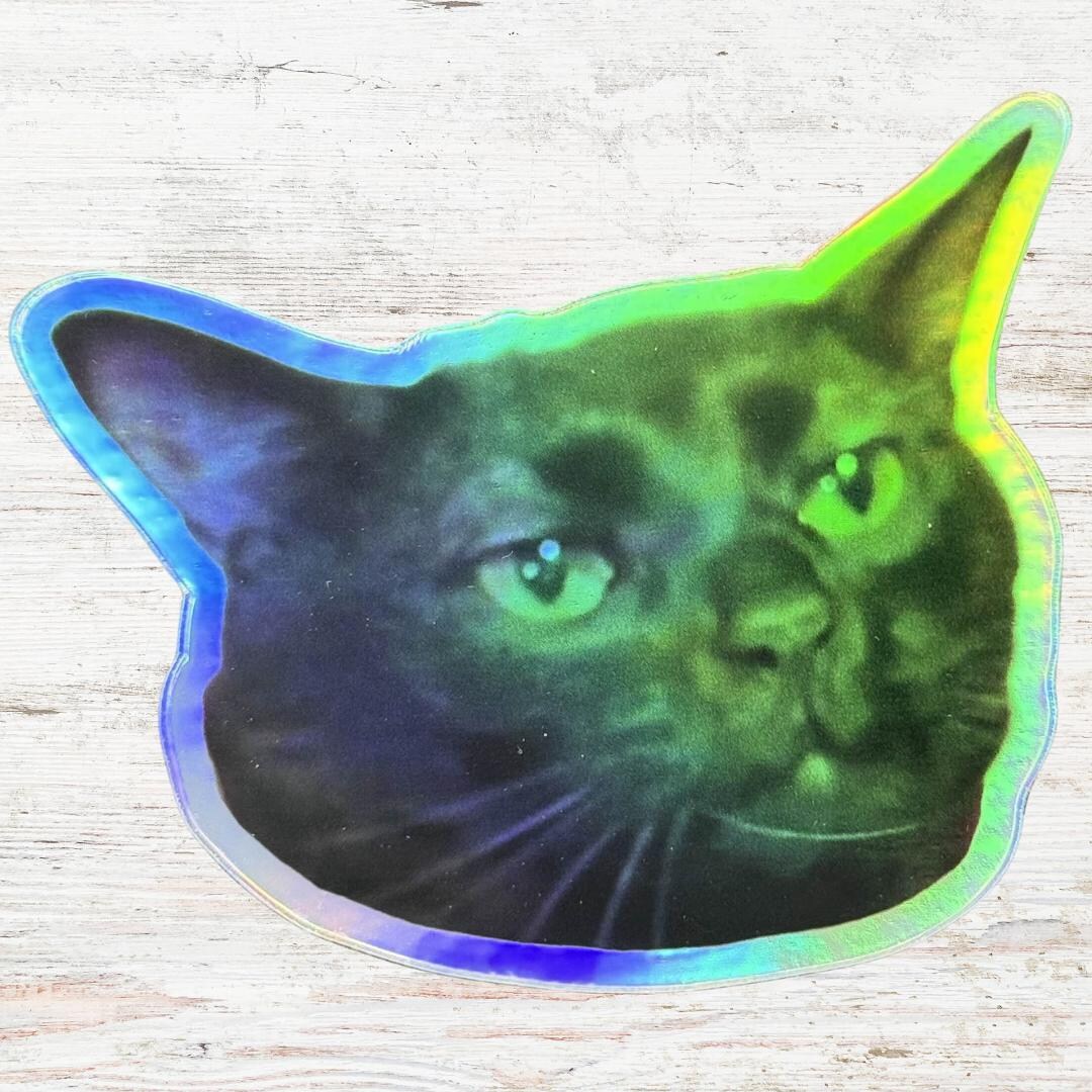 Zoned Out Cat Holographic Sticker - Etsy