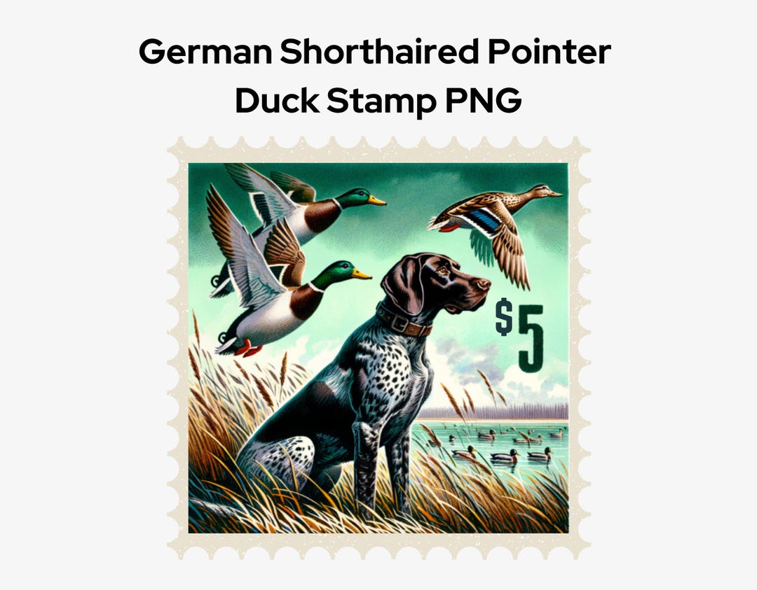 Duck Stamp PNG, Instant Download, Mallard Duck, Duck Hunting ...