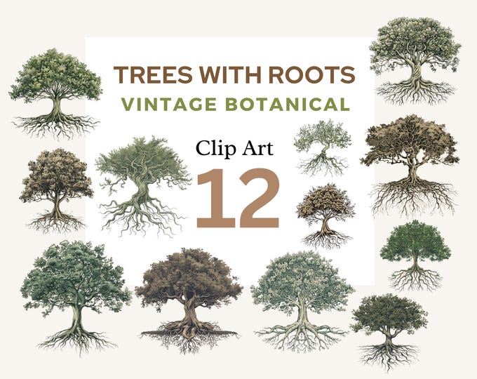 Renaissance Tree With Roots PNG Clipart Bundle - 45 High Quality PNG ...