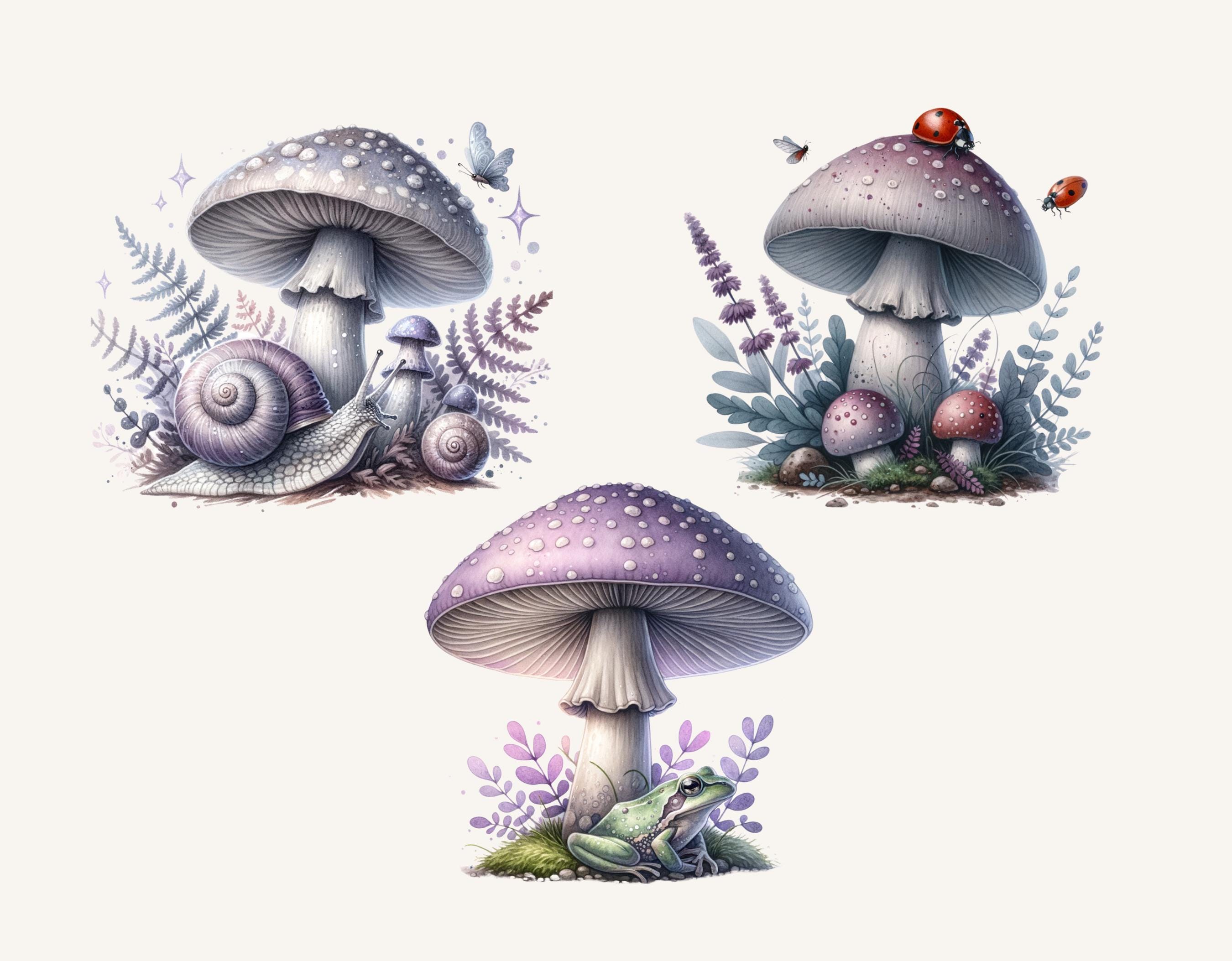 Watercolor Mushrooms Clipart, Forest Nature Toadstool Clip Art Set ...