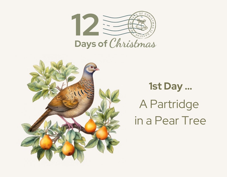 12 Days of Christmas Clipart Pack, Holiday Clip Art, Xmas Clipart ...