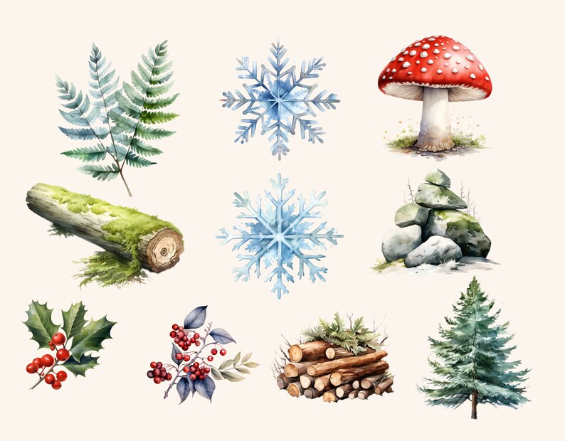 Woodland Animal Clipart Winter Cuties Bundle INSTANT DOWNLOADS Png ...