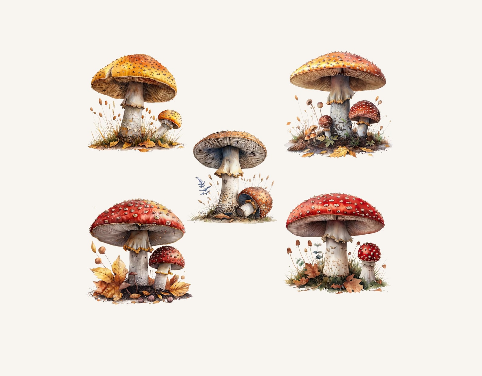 Mushroom Clipart, Fall Mushroom Png, Fungi Clipart, Autumn Mushrooms ...