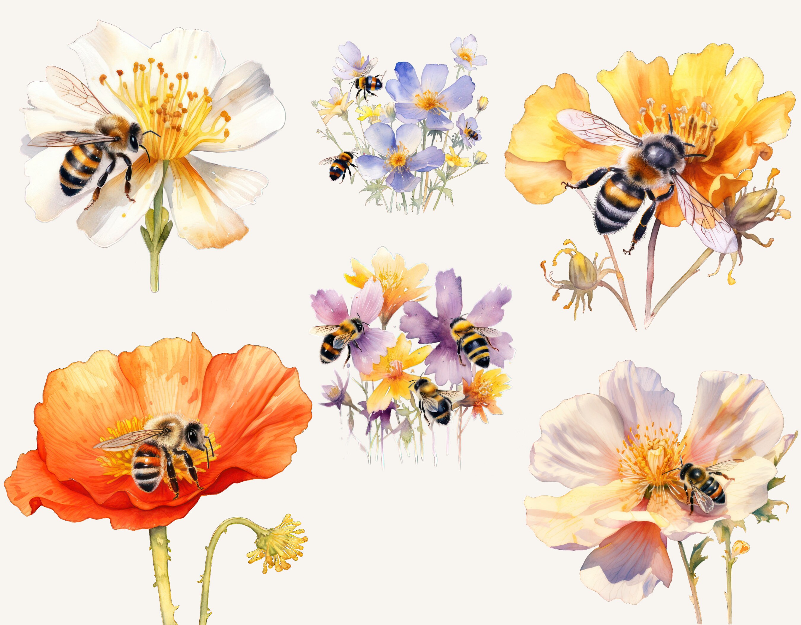 Honey Bee Flowers Clipart in Watercolour, Bee Hives, Honey, Bees ...