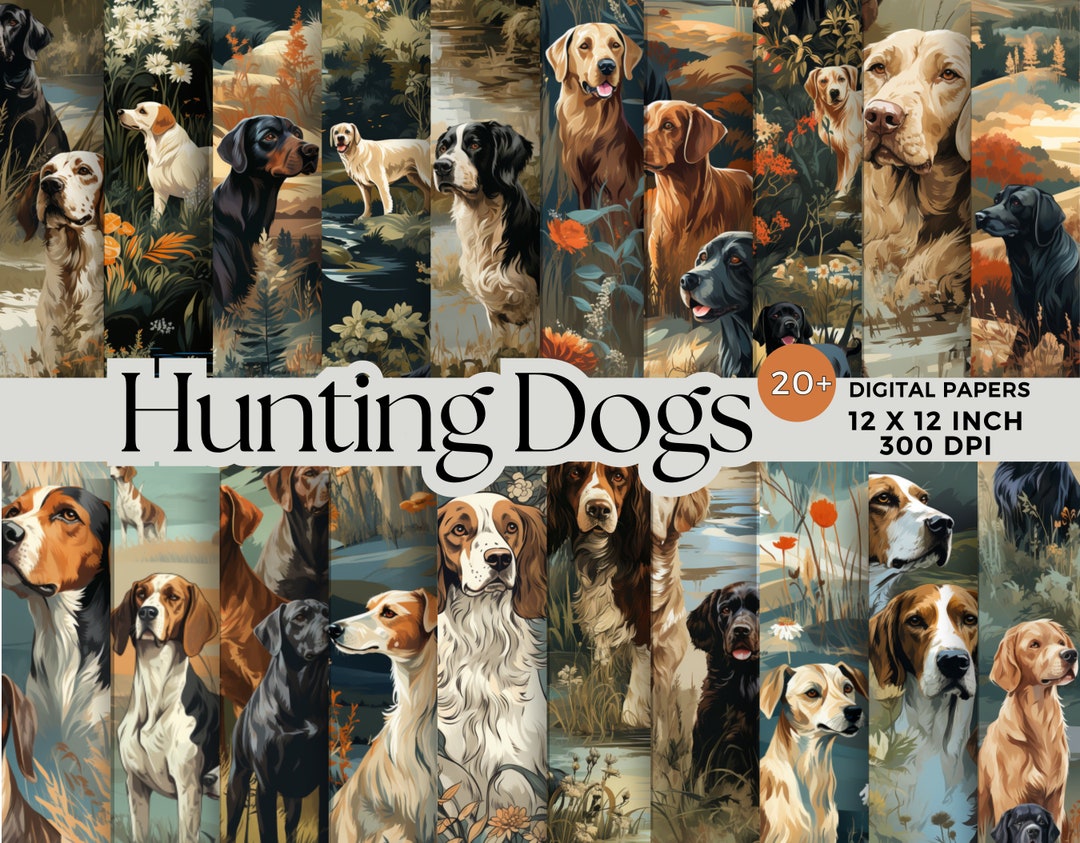 Hunting Dogs Png Seamless Images BUNDLE of 20 High Resolution Ideal for ...