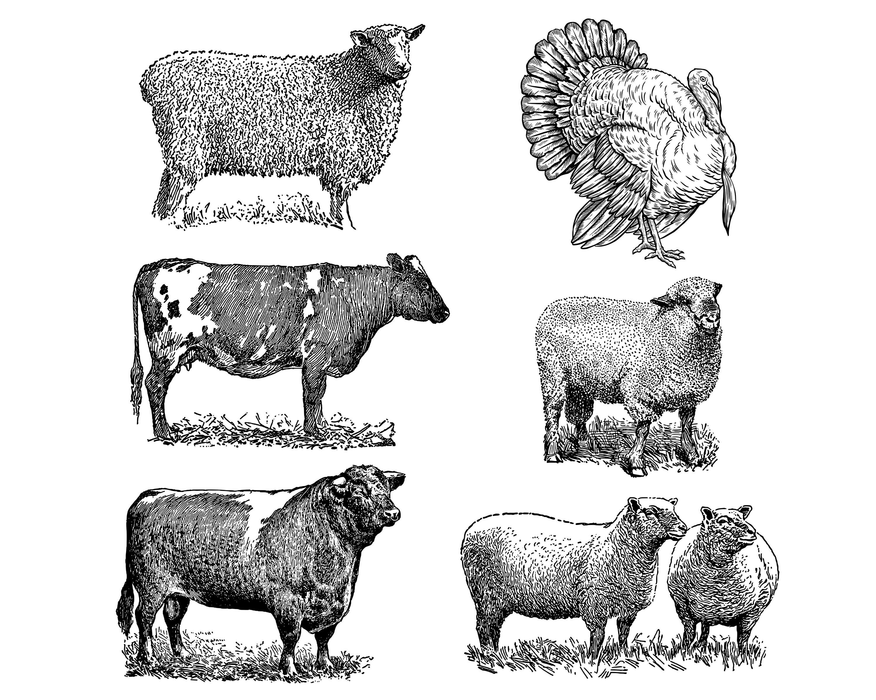 Vintage Farm Animal Clipart Bundle - SVG PNG Farmhouse Animal ...
