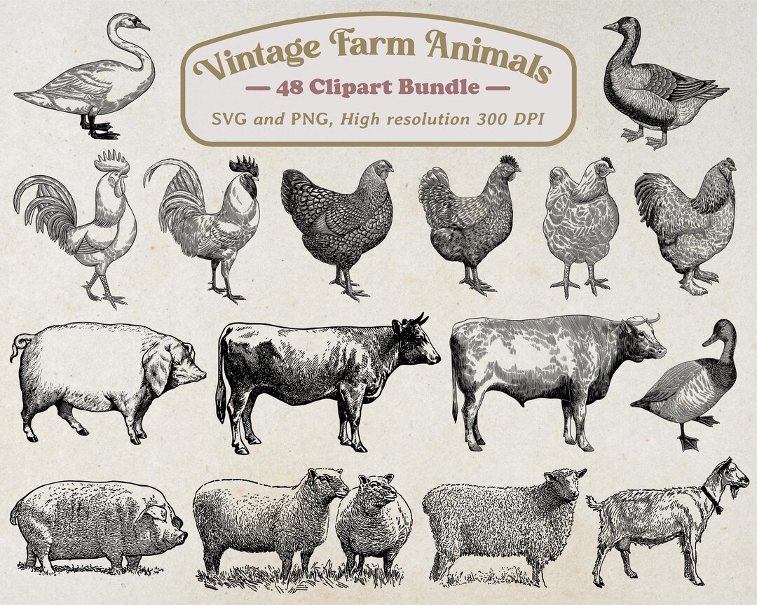Vintage Farm Animal Clipart Bundle - SVG PNG Farmhouse Animal ...