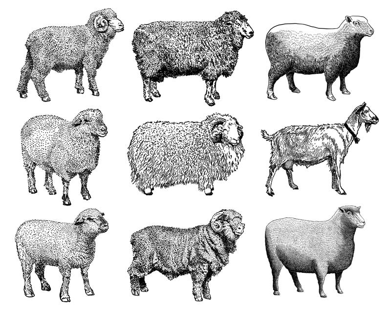 Vintage Farm Animal Clipart Bundle - SVG PNG Farmhouse Animal ...