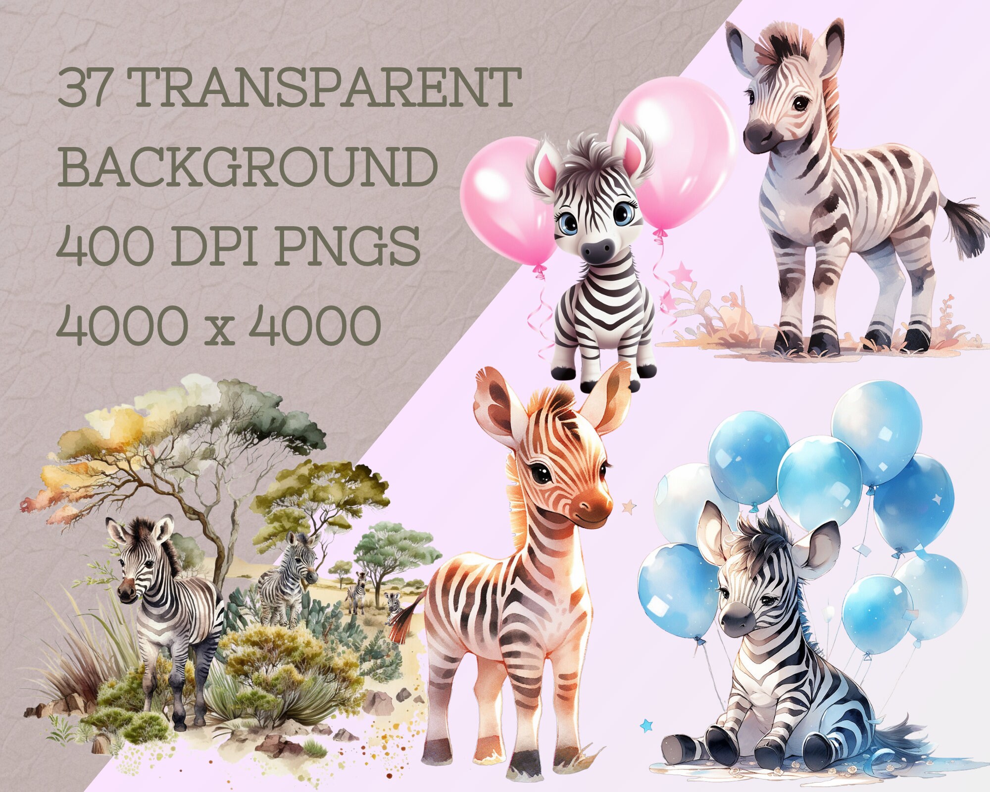 Watercolor Baby Zebra Clipart Bundle for Commercial Use Watercolor ...