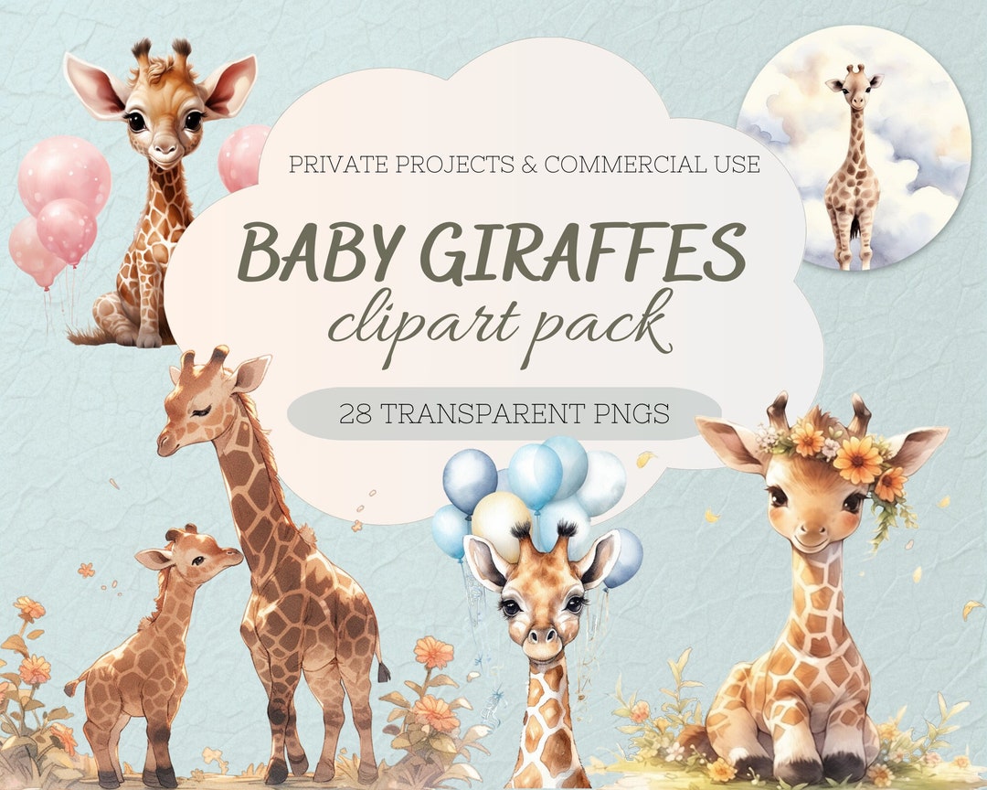 Watercolor Baby Giraffe Clipart Bundle for Commercial Use Watercolor ...