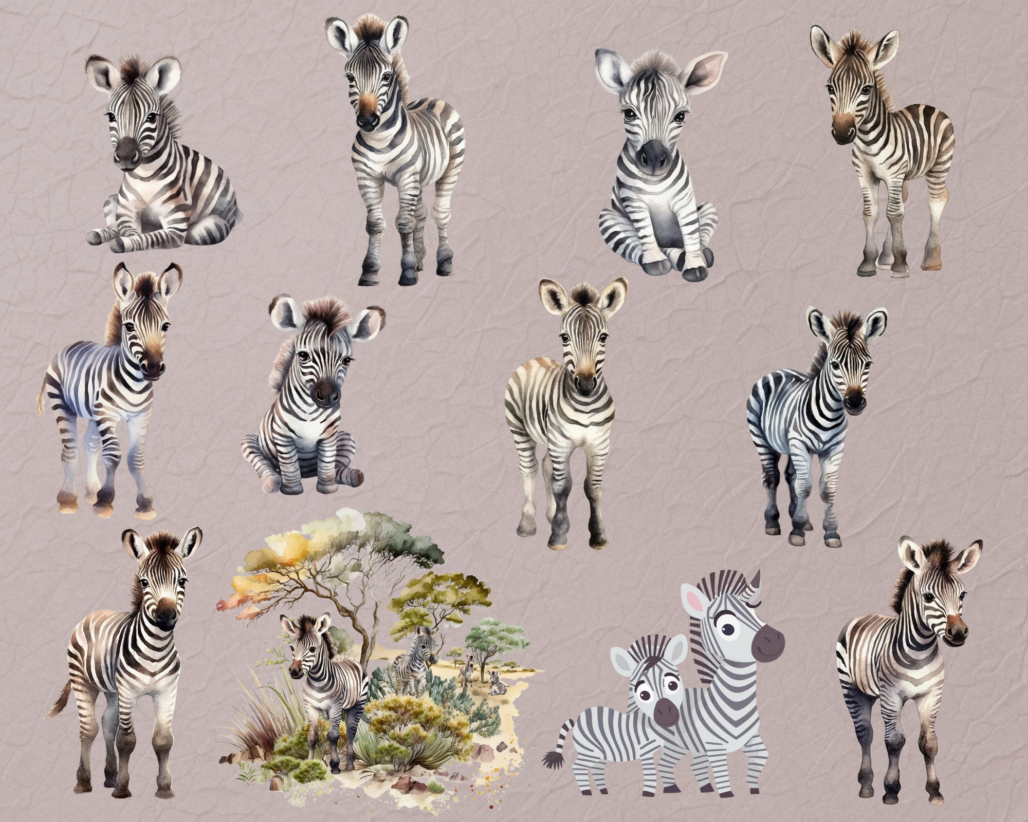 Watercolor Baby Zebra Clipart Bundle for Commercial Use Watercolor ...