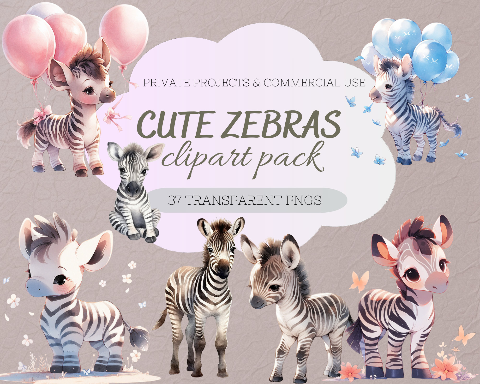 Watercolor Baby Zebra Clipart Bundle for Commercial Use Watercolor ...