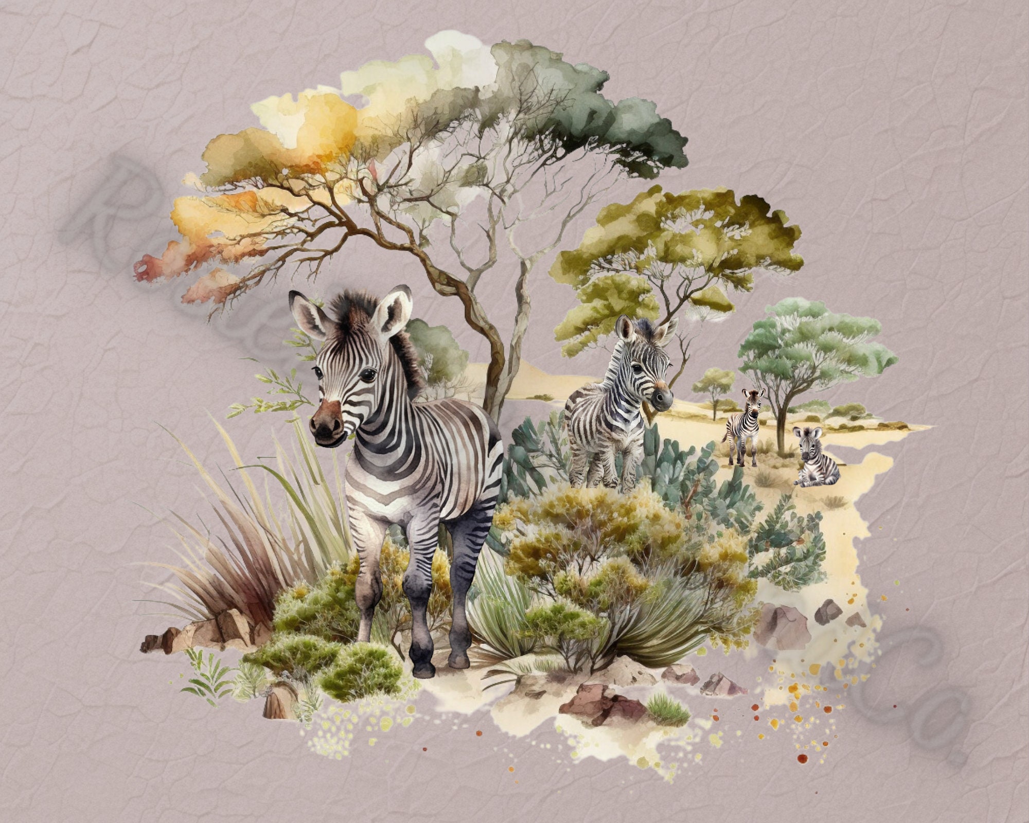 Watercolor Baby Zebra Clipart Bundle for Commercial Use - Etsy