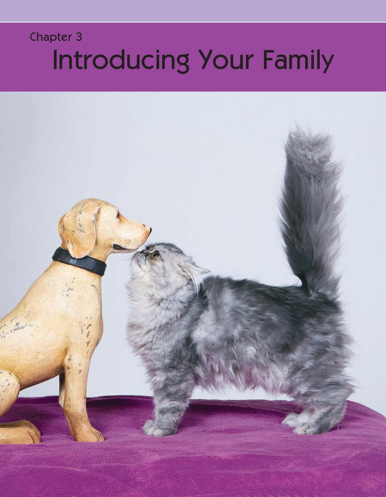 The Ultimate Dog Training Guide: Step-by-step Companion Training (PDF ...
