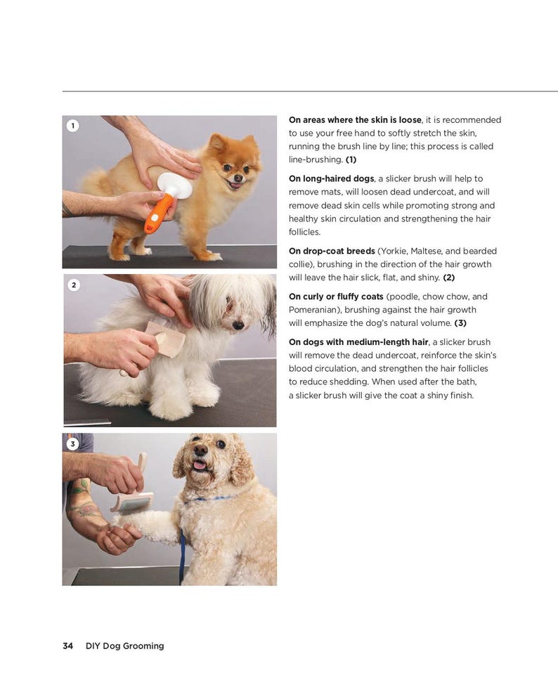 DIY Dog Grooming : Step-by-step Pet Grooming Tips (PDF Guide) - Etsy