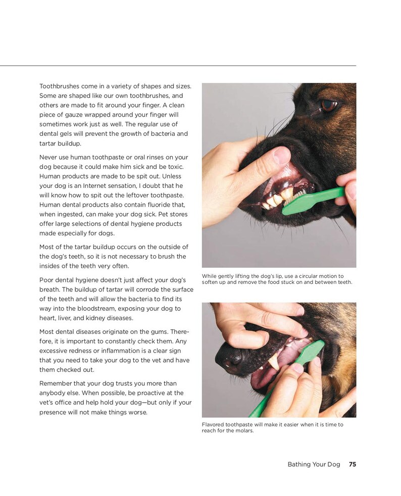 DIY Dog Grooming : Step-by-step Pet Grooming Tips (PDF Guide) - Etsy
