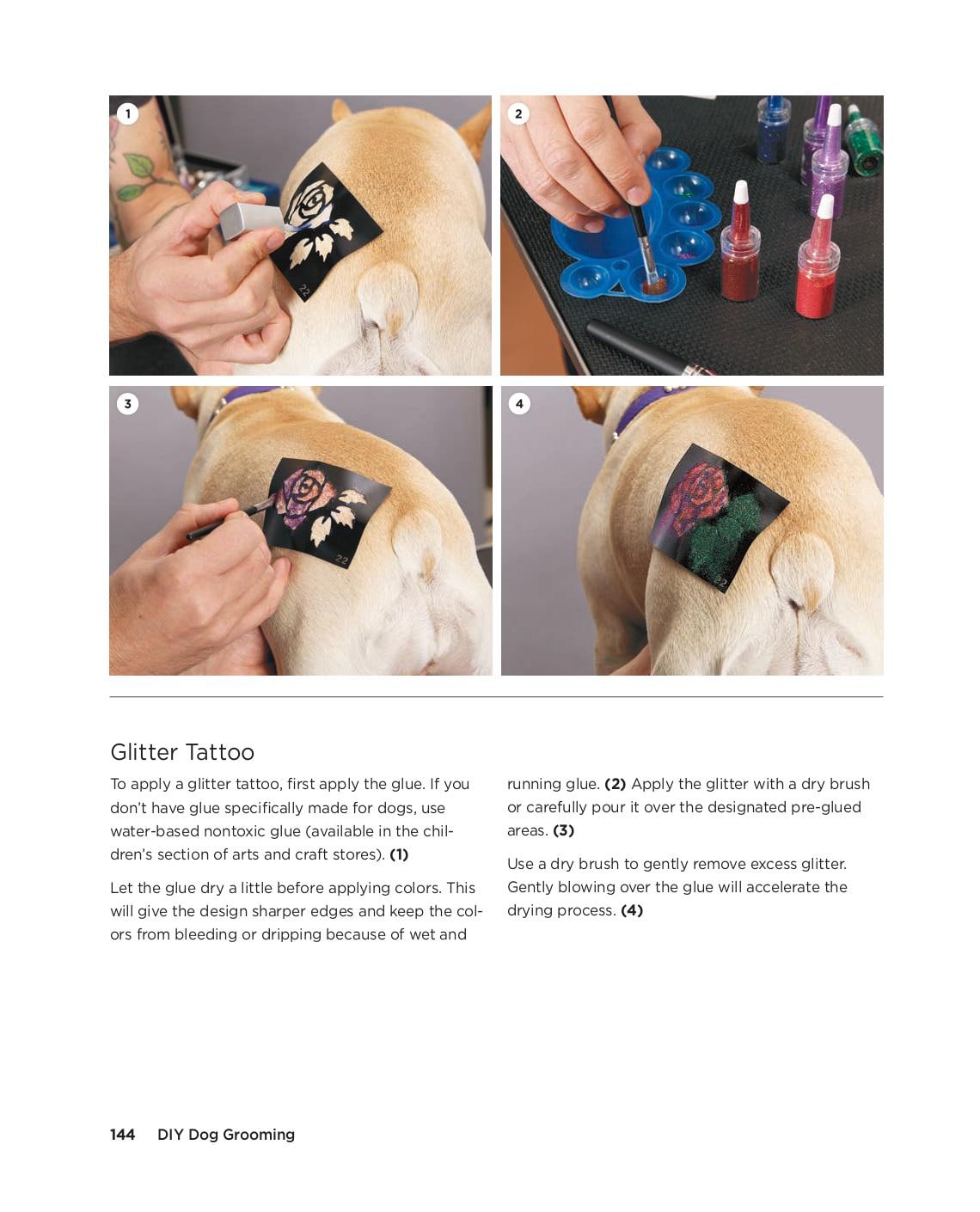 DIY Dog Grooming : Step-by-step Pet Grooming Tips (PDF Guide) - Etsy