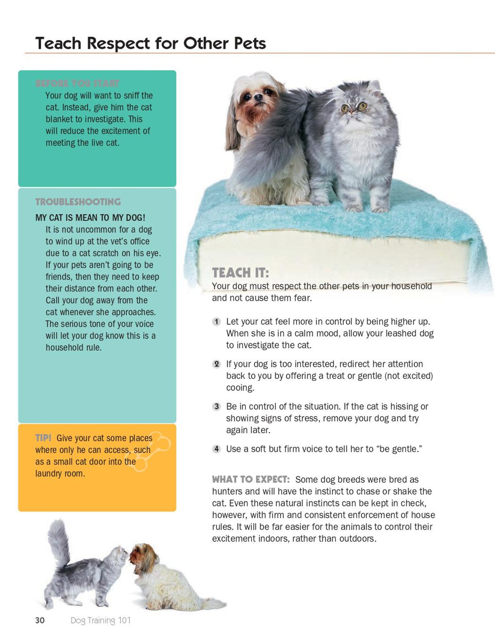 The Ultimate Dog Training Guide: Step-by-step Companion Training (PDF ...
