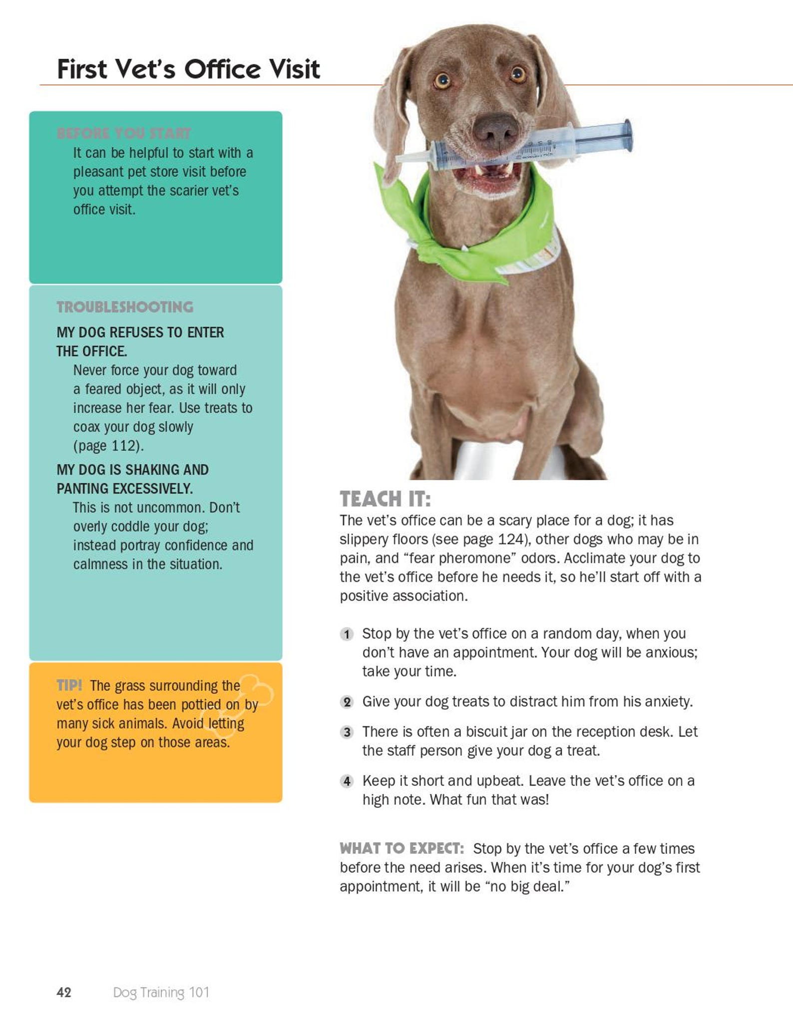 The Ultimate Dog Training Guide: Step-by-step Companion Training (PDF ...