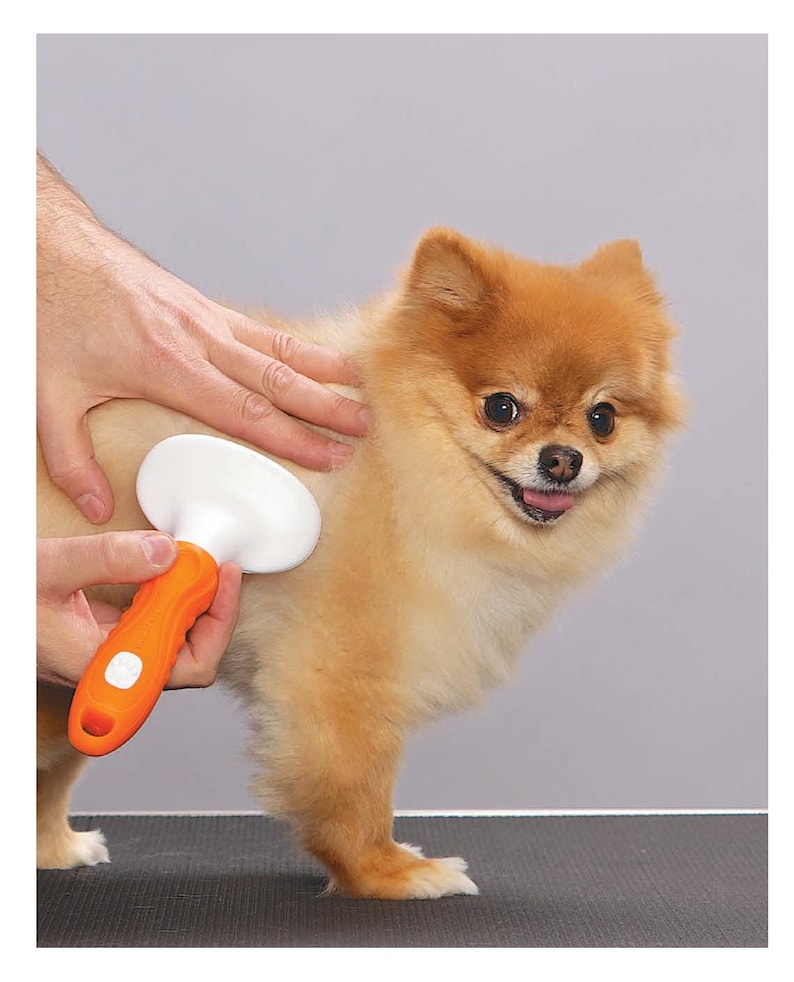 DIY Dog Grooming : Step-by-step Pet Grooming Tips (PDF Guide) - Etsy
