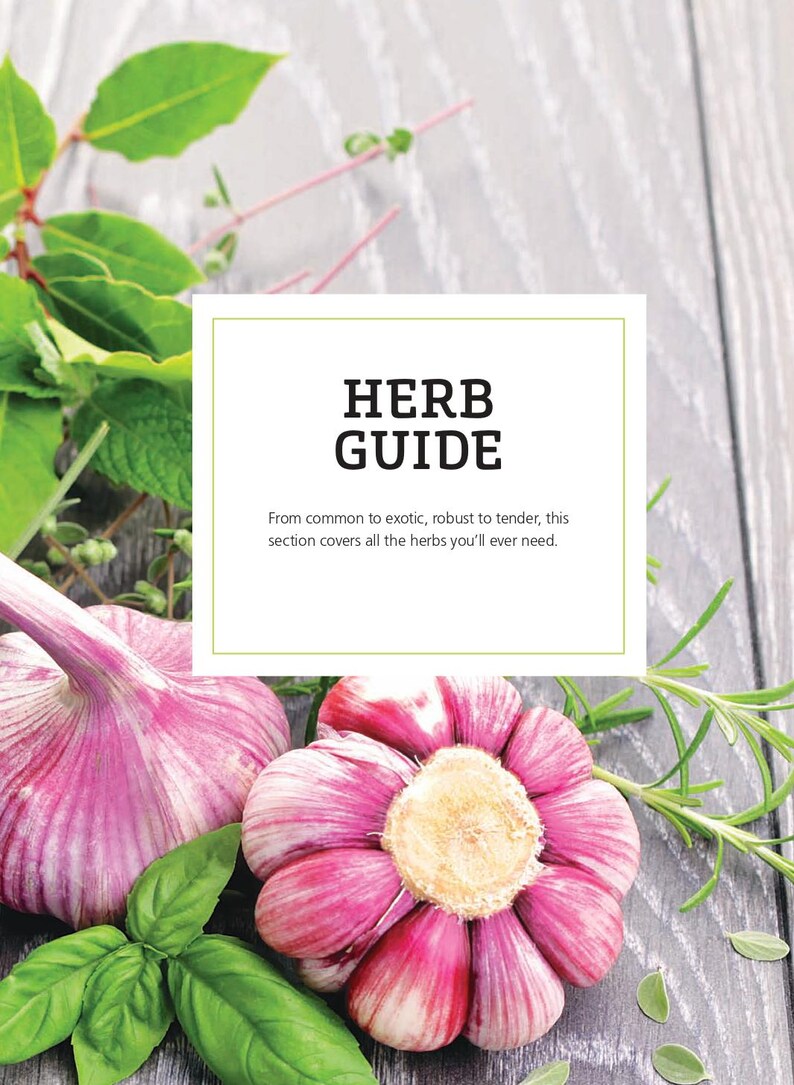 Herb & Spice Companion - the Complete Guide to Over 100 Herbs and ...