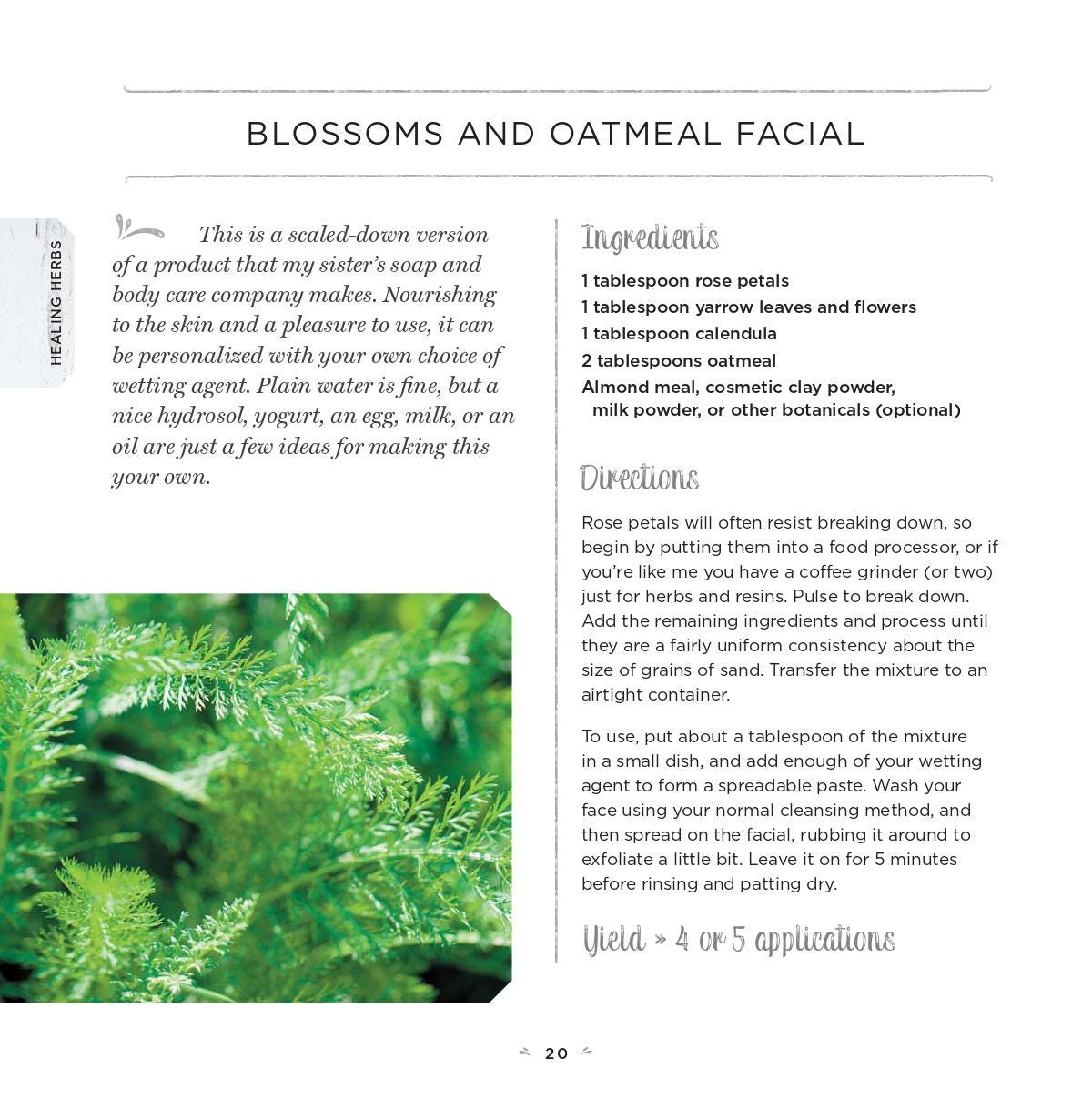 Healing Herbs : A Beginner's Guide to Foraging, Identifying, and Using ...