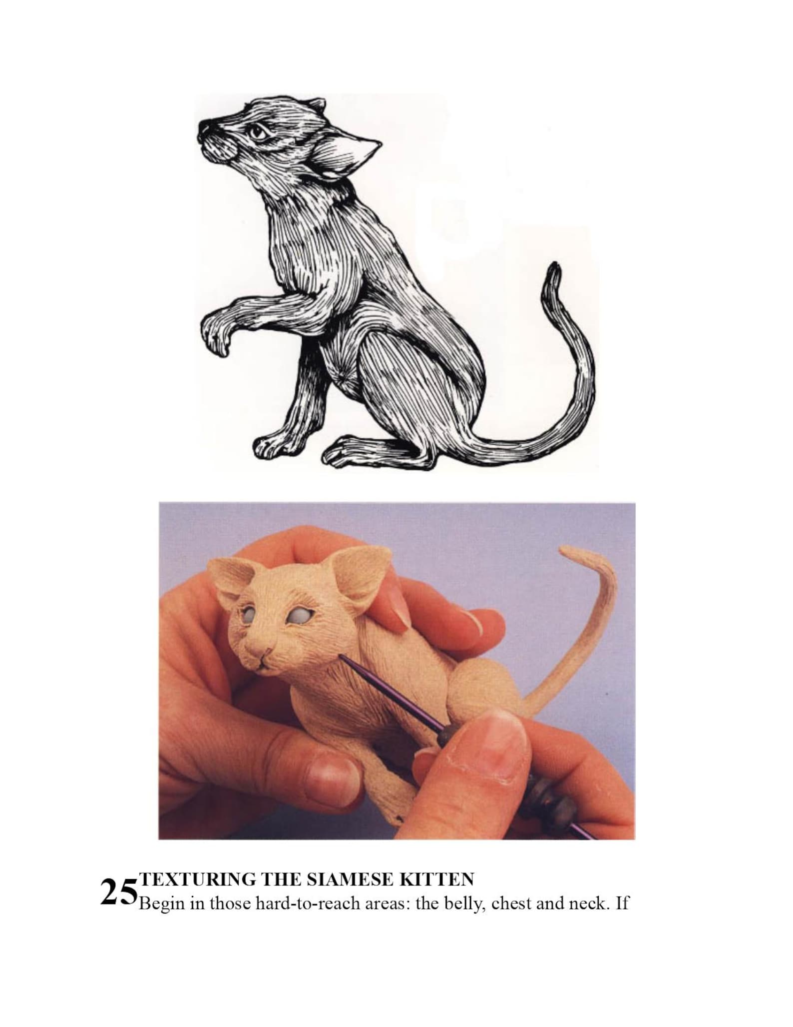 Creating Life-like Animals With Polymer Clay: A Step-by-step Guide (PDF ...