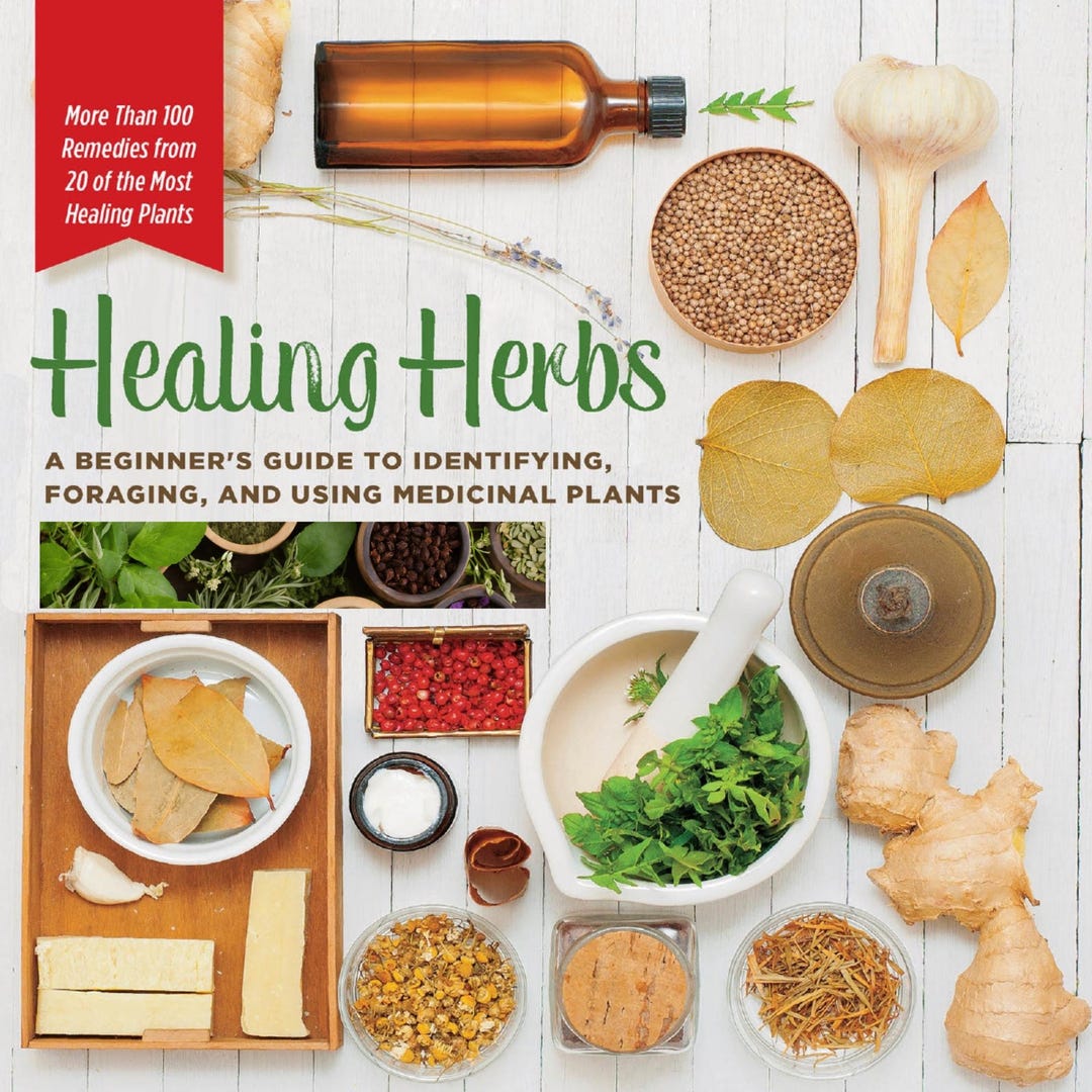 Healing Herbs : A Beginner's Guide to Foraging, Identifying, and Using ...