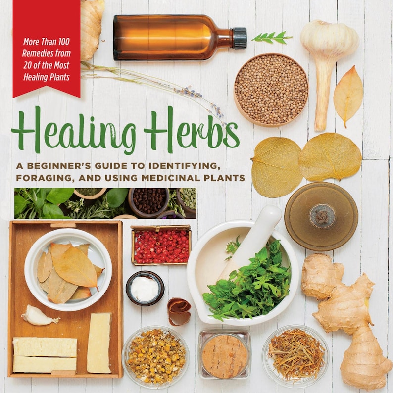 Healing Herbs : A Beginner's Guide to Foraging, Identifying, and Using ...