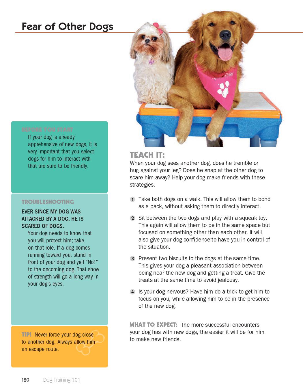 The Ultimate Dog Training Guide: Step-by-step Companion Training (PDF ...