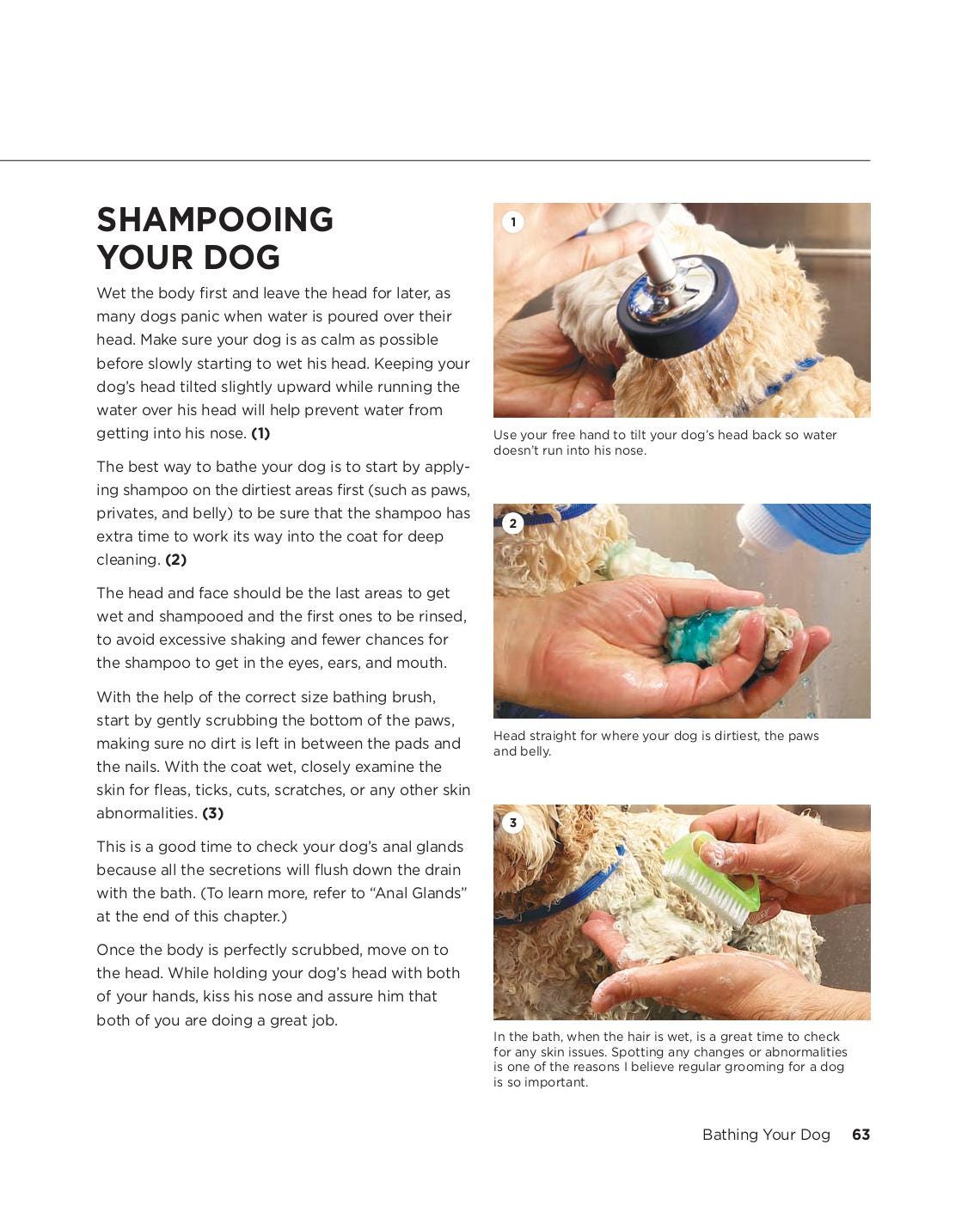 DIY Dog Grooming : Step-by-step Pet Grooming Tips (PDF Guide) - Etsy