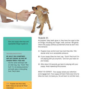 The Ultimate Dog Training Guide: Step-by-step to a Happy, Well-behaved ...