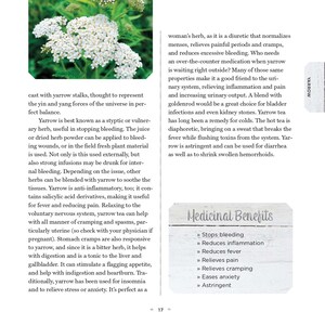 Healing Herbs : A Beginner's Guide to Foraging, Identifying, and Using ...