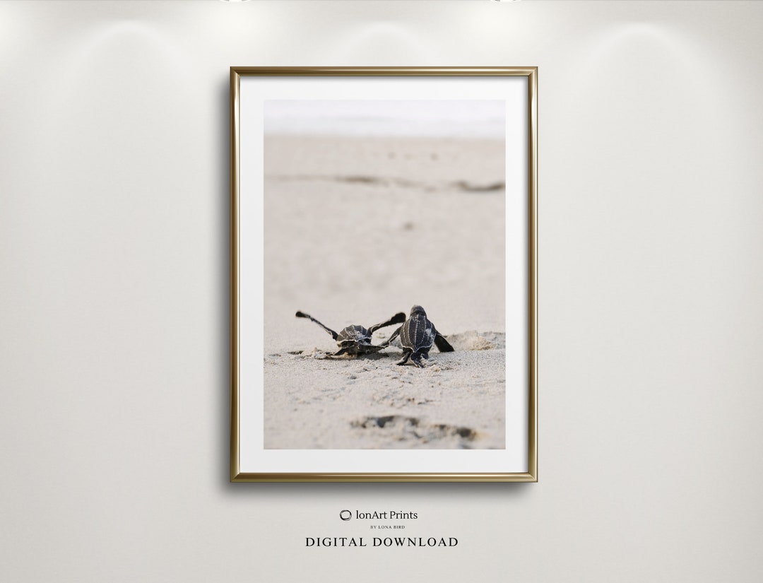 Minimalist Baby Turtles PRINTABLE Wall Art, New Life Digital Download ...