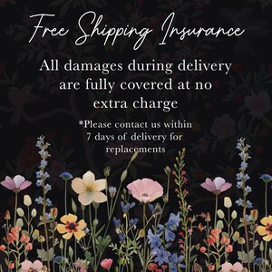 Thanks It's the Trauma Car License Plate Frame, Funny Vehicle ...