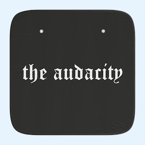 The Audacity Black Car Sun Shades, Funny Tarot Car Decor, Car ...