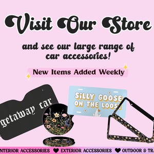 Colorful Daisy Patten License Plate Frame, Retro Floral Cute Car Decor ...